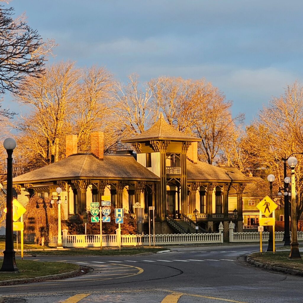 marshall mich - MeRT Magnetic e-Resonance Therapy